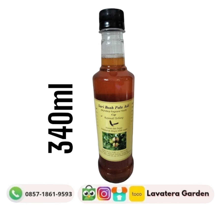 Jual Sirup Sari Buah Pala Asli Cap Rajawali Terbang 340 m
