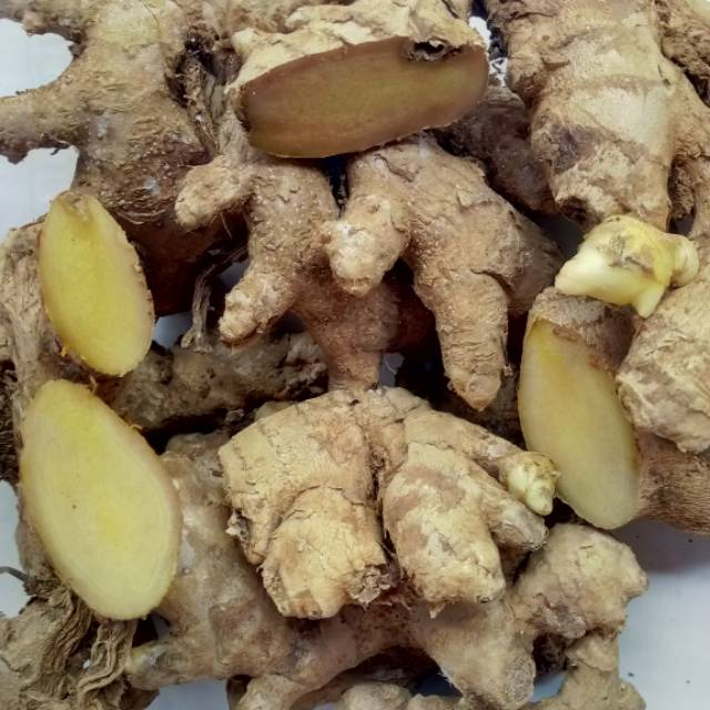 Jual JAHE SEGAR 500 GRAM dengan Harga Terbaik di Toco